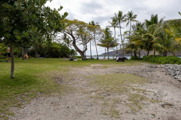 Manini Beach - The Most Underrated Snorkeling in Kealakekua Bay