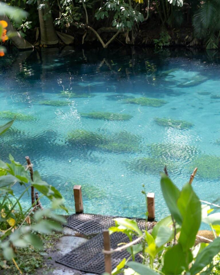 Las Estacas: The Ultimate Guide to Mexico's Hidden Oasis