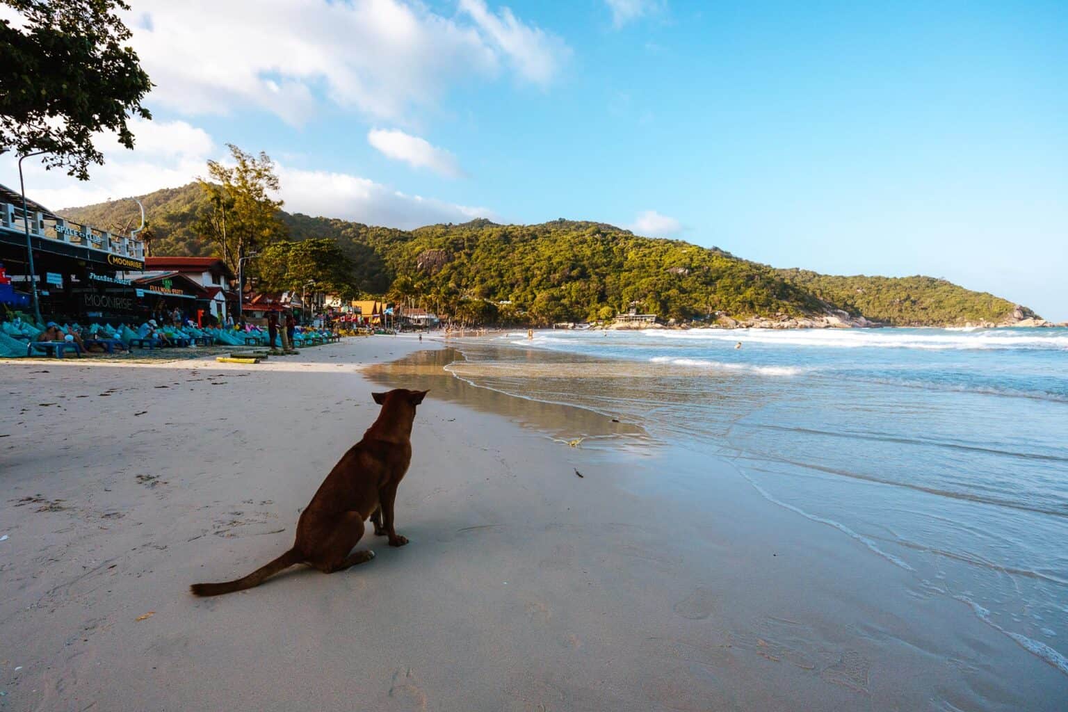 The 15 Best Beaches in Koh Phangan [We Visited All of Them] - The ...
