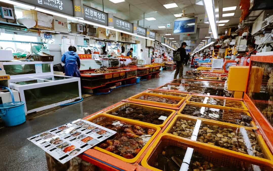 Jagalchi Market in Busan: The Best Place for Seafood in Korea