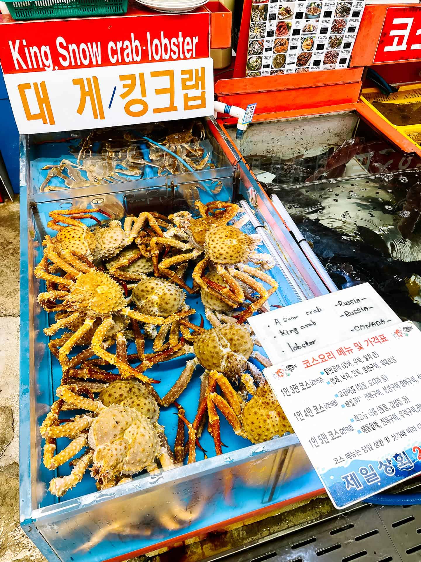 Jagalchi Market in Busan: The Best Place for Seafood in Korea
