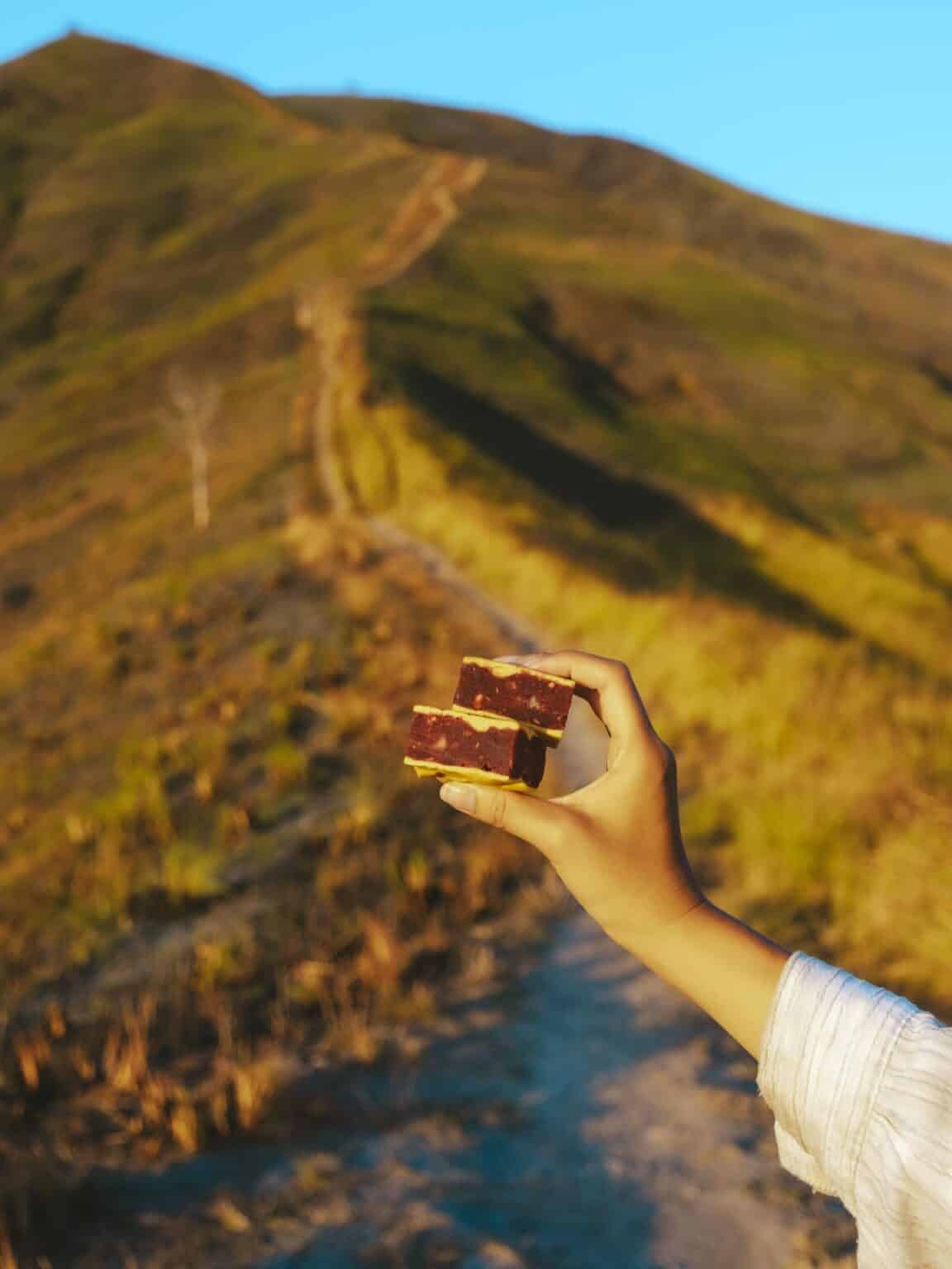 Alicia Panoramic Park in Bohol, Philippines: Hiker's Guide