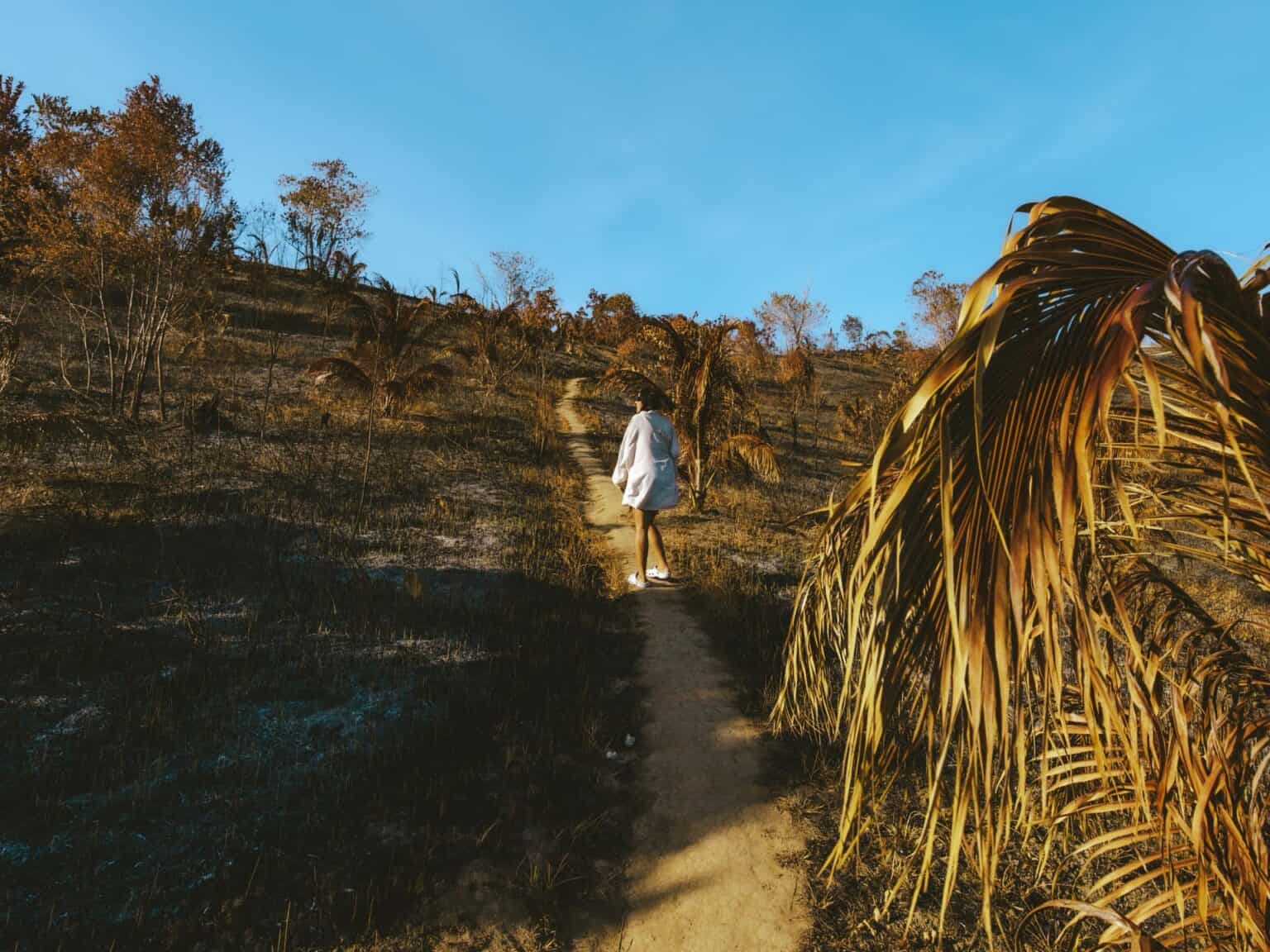 Alicia Panoramic Park in Bohol, Philippines: Hiker's Guide