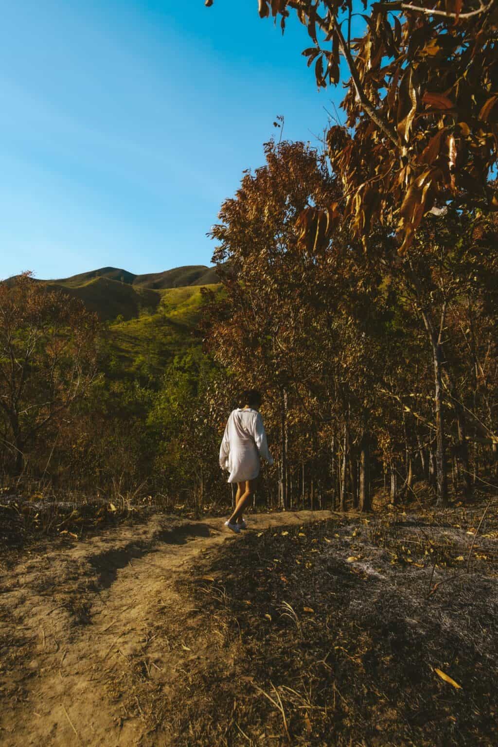 Alicia Panoramic Park in Bohol, Philippines: Hiker's Guide