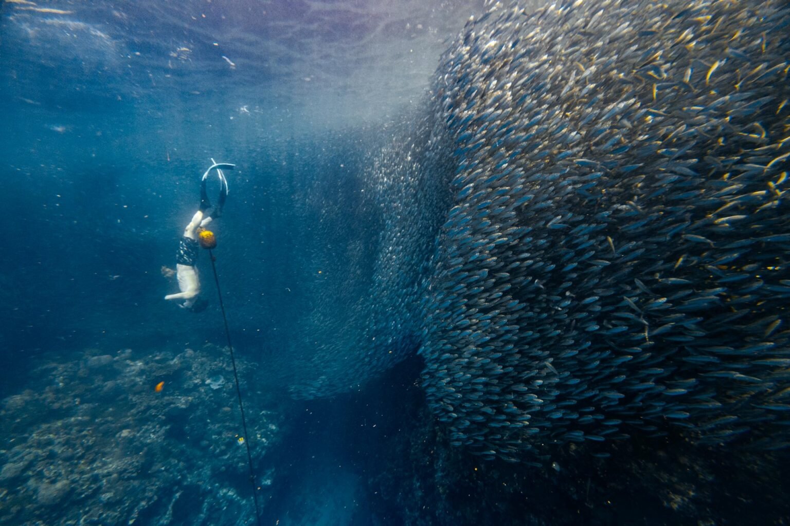 Napaling Reef Snorkeling: Complete Guide