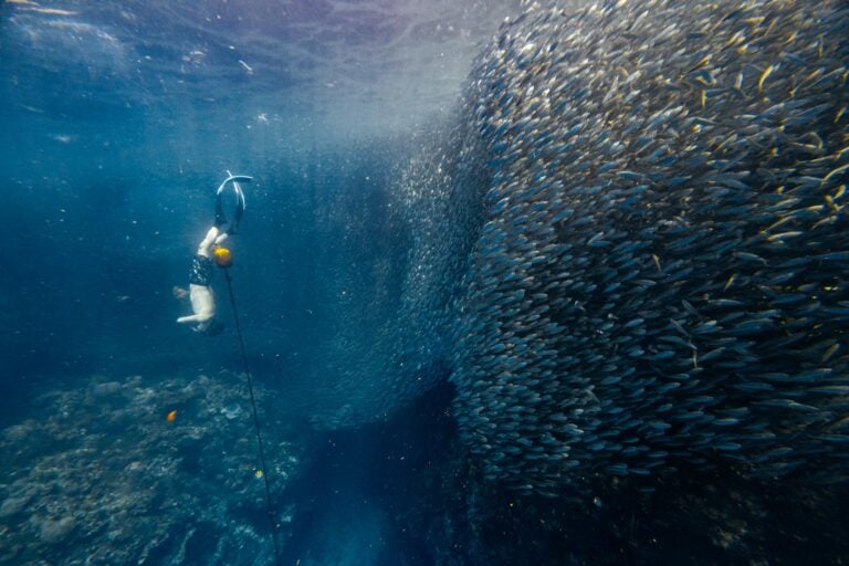 Napaling Reef Snorkeling: Complete Guide