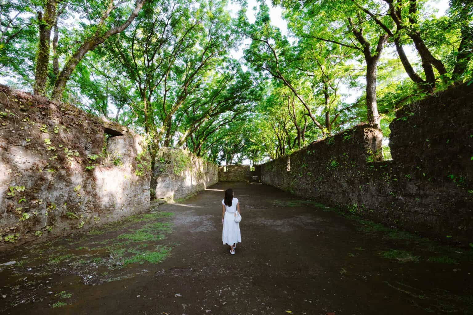 Walkway to the Old Volcano in Camiguin: Complete Guide