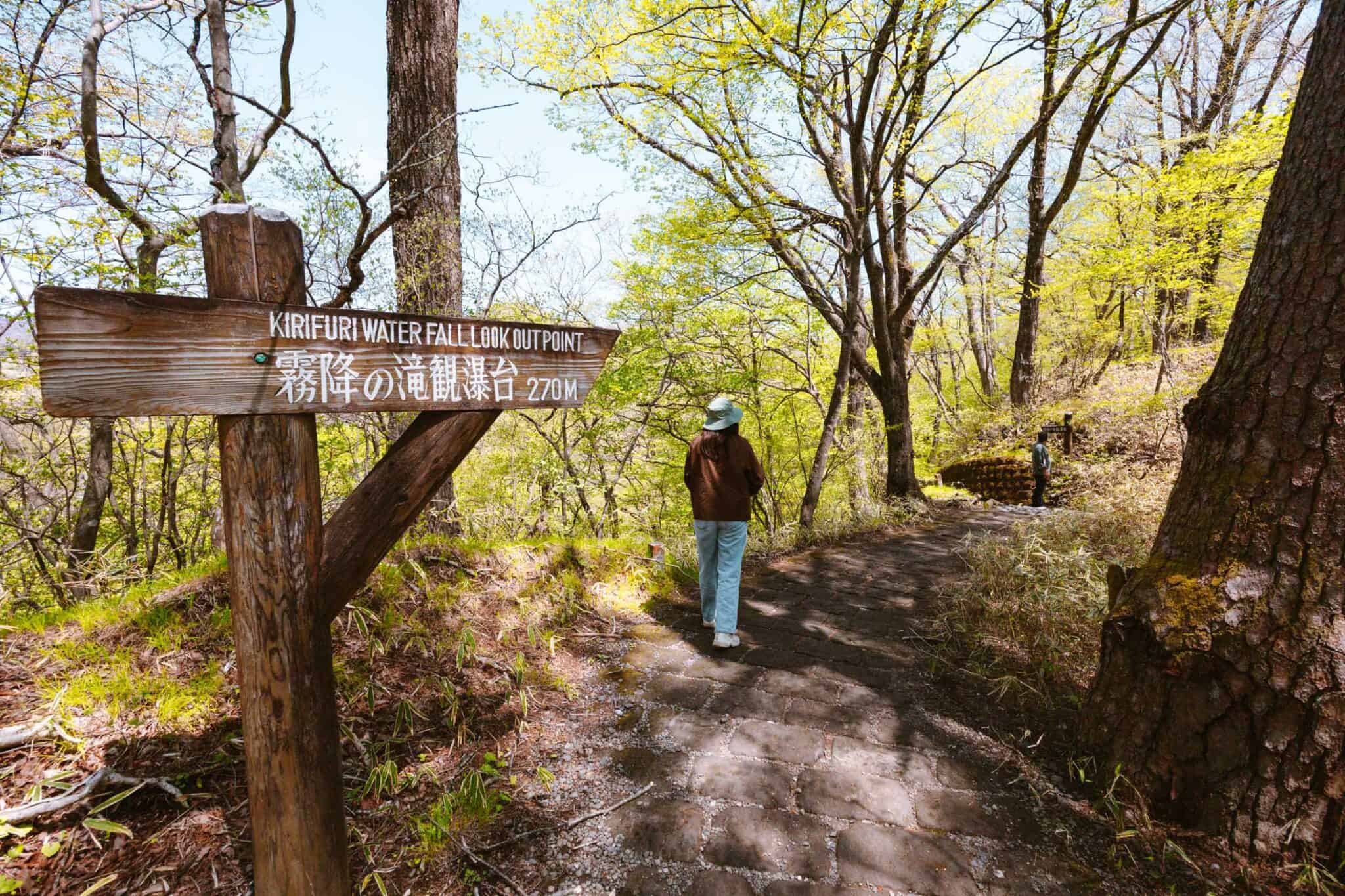 7 Best Waterfalls in Nikko: Complete Guide