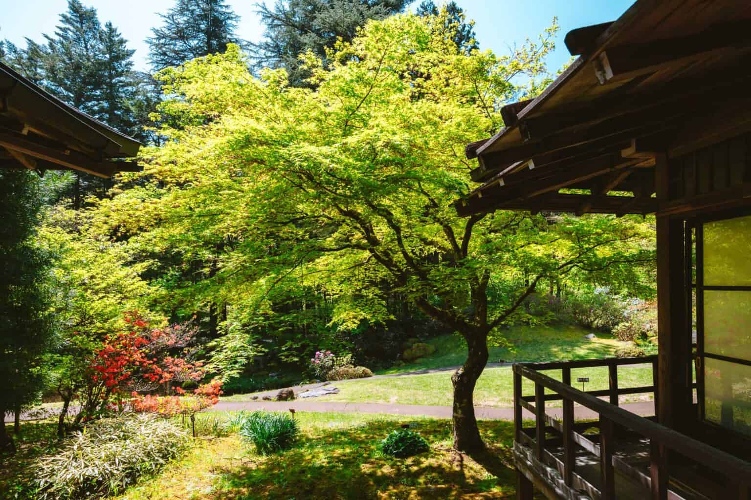 18 Incredible Things to Do in Nikko: Complete Travel Guide