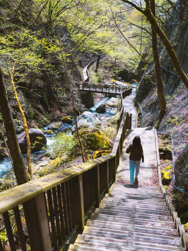7 Best Waterfalls in Nikko: Complete Guide