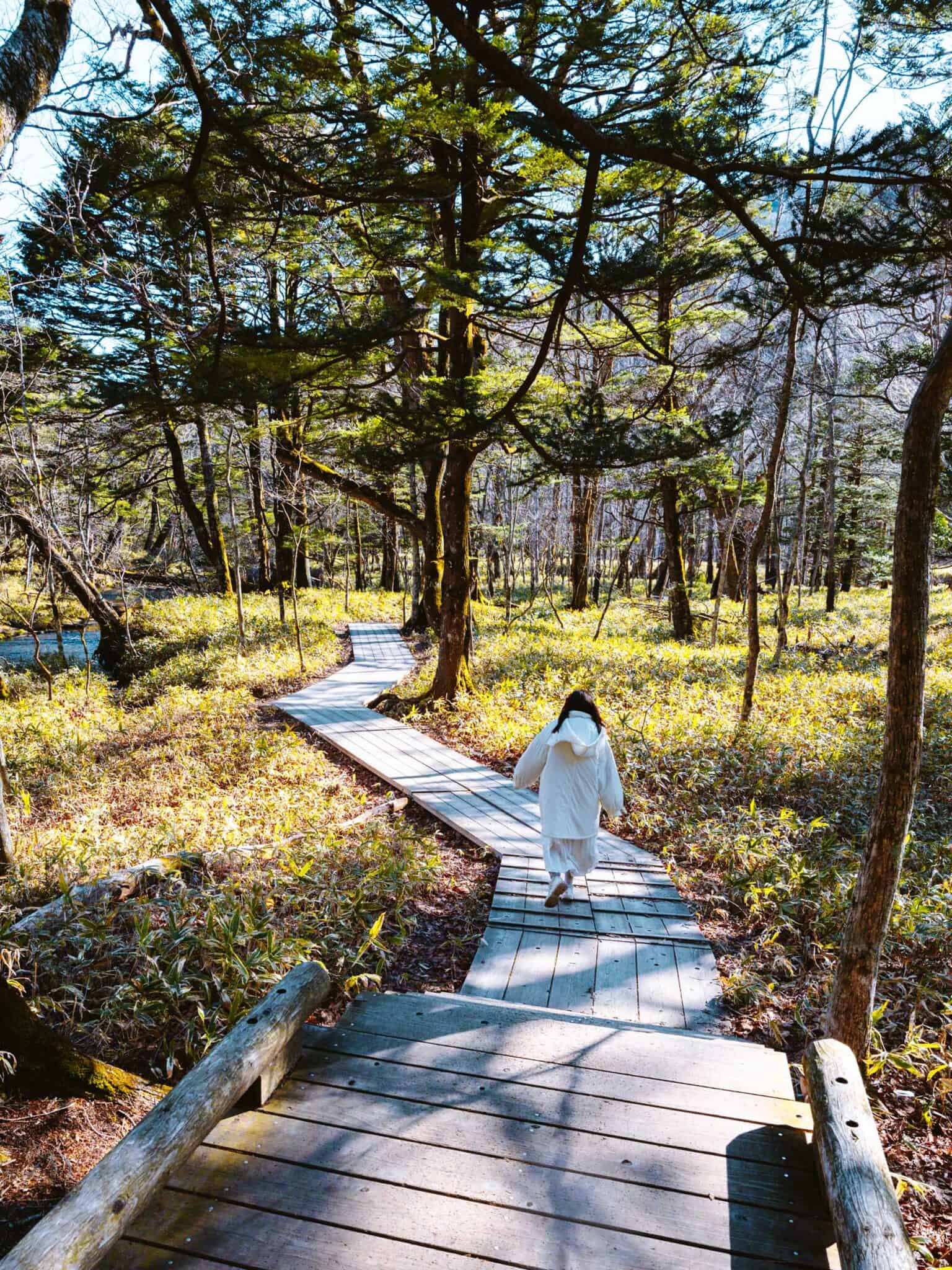 7 Best Waterfalls in Nikko: Complete Guide