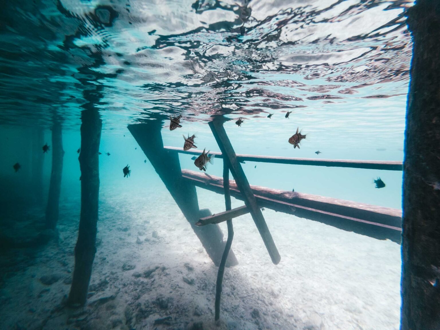 Sugba Lagoon in Siargao: Complete Guide