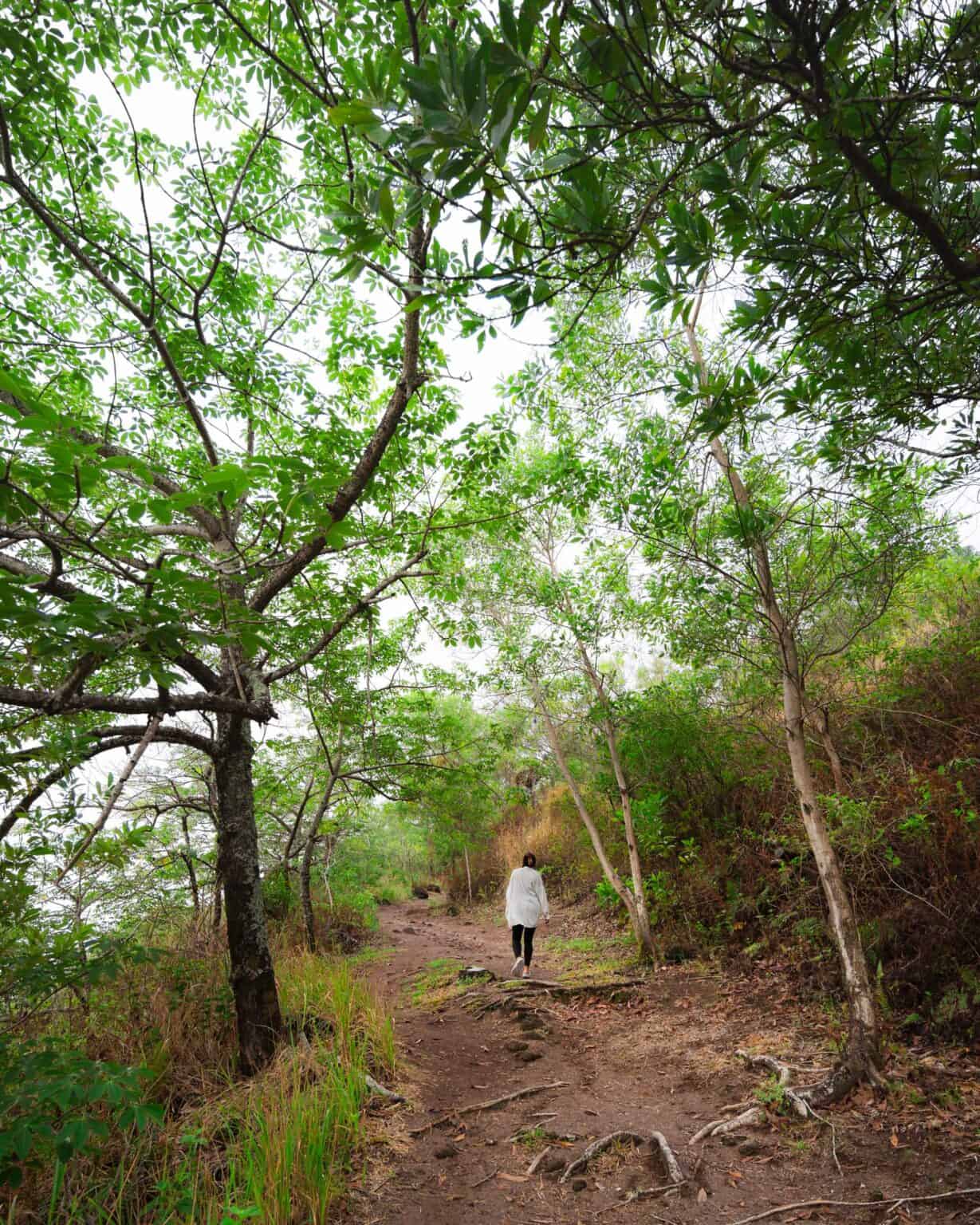 Walkway to the Old Volcano in Camiguin: Complete Guide