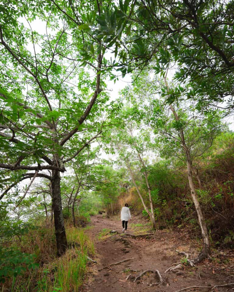 Walkway to the Old Volcano in Camiguin: Complete Guide