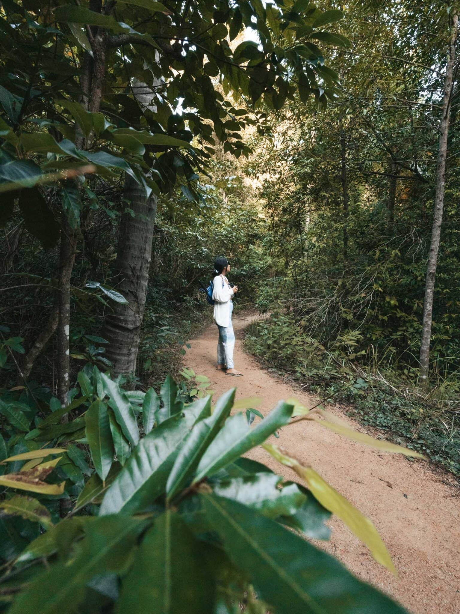 Bottle Beach Viewpoint in Koh Phangan: Complete Guide