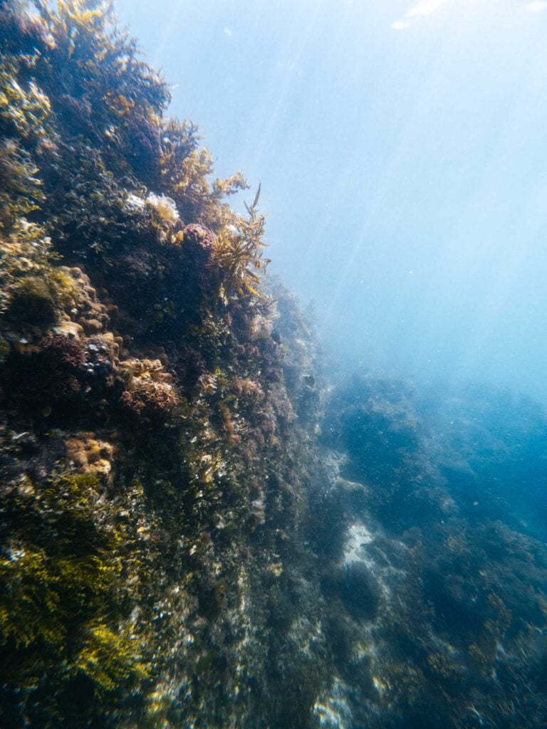 Magpupungko Rock Pools in Siargao: Complete Guide