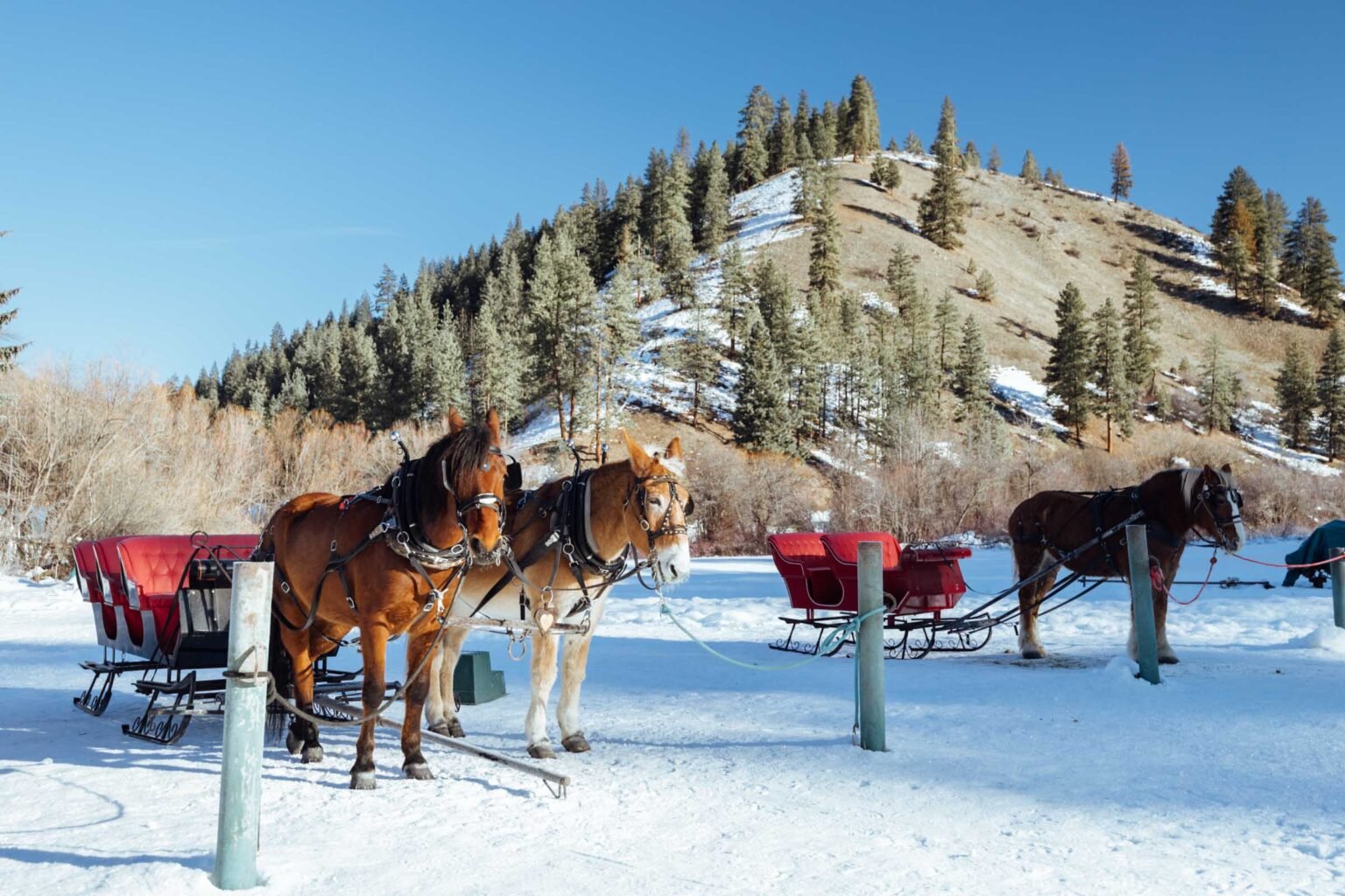 8 Amazing Things to Do in Leavenworth in Winter: Complete Guide