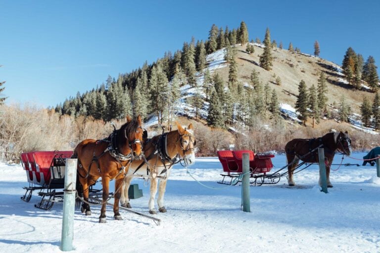 8 Amazing Things to Do in Leavenworth in Winter: Complete Guide