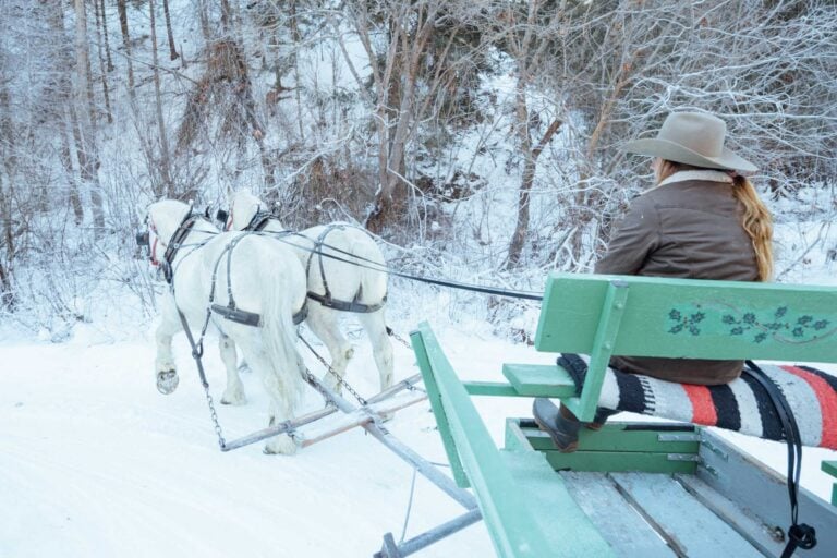 8 Amazing Things to Do in Leavenworth in Winter: Complete Guide