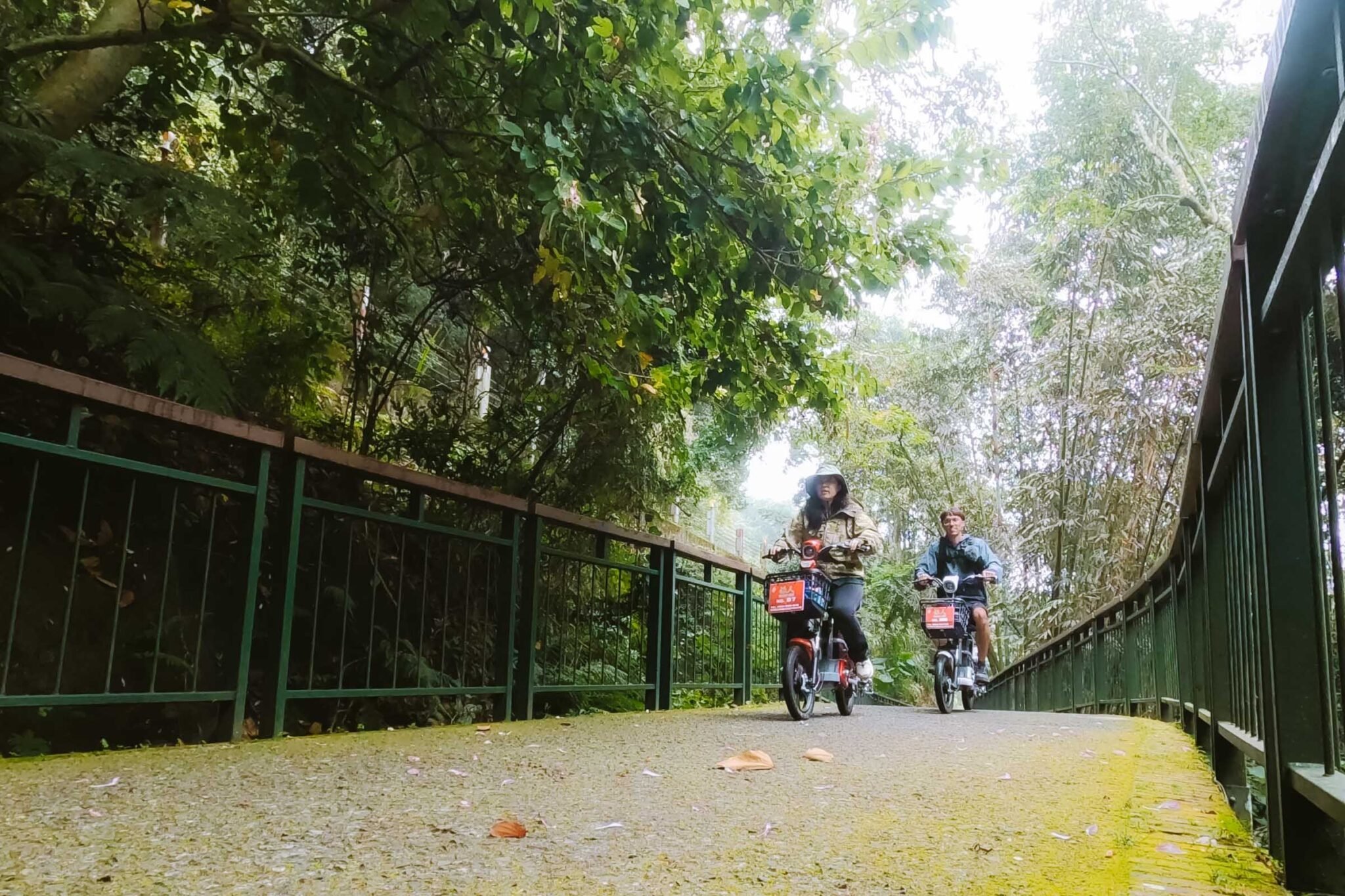 Sun Moon Lake Cycling: Complete Guide