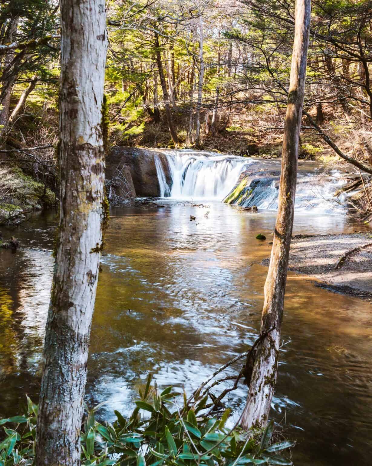 7 Best Waterfalls in Nikko: Complete Guide