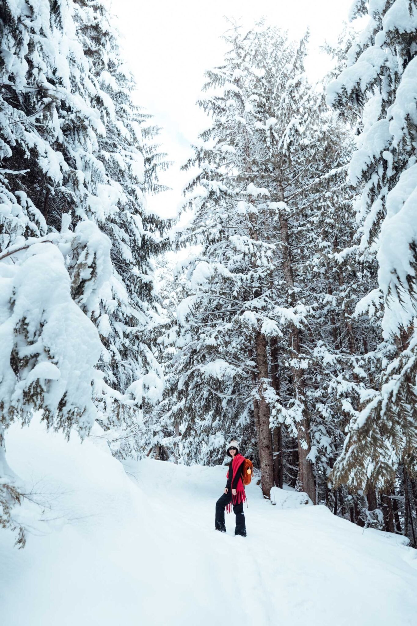 Scenic Hot Springs in Washington: Complete Guide