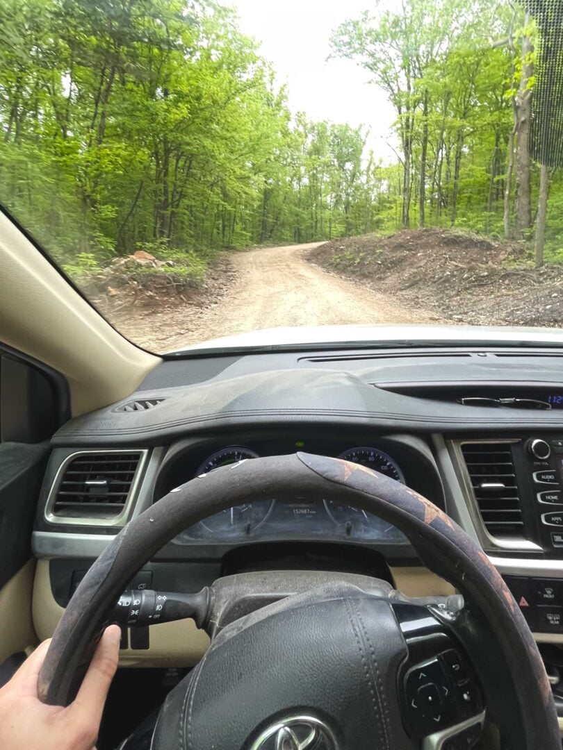 Whitaker Point Trail (Hawksbill Crag): Complete Hiking Guide