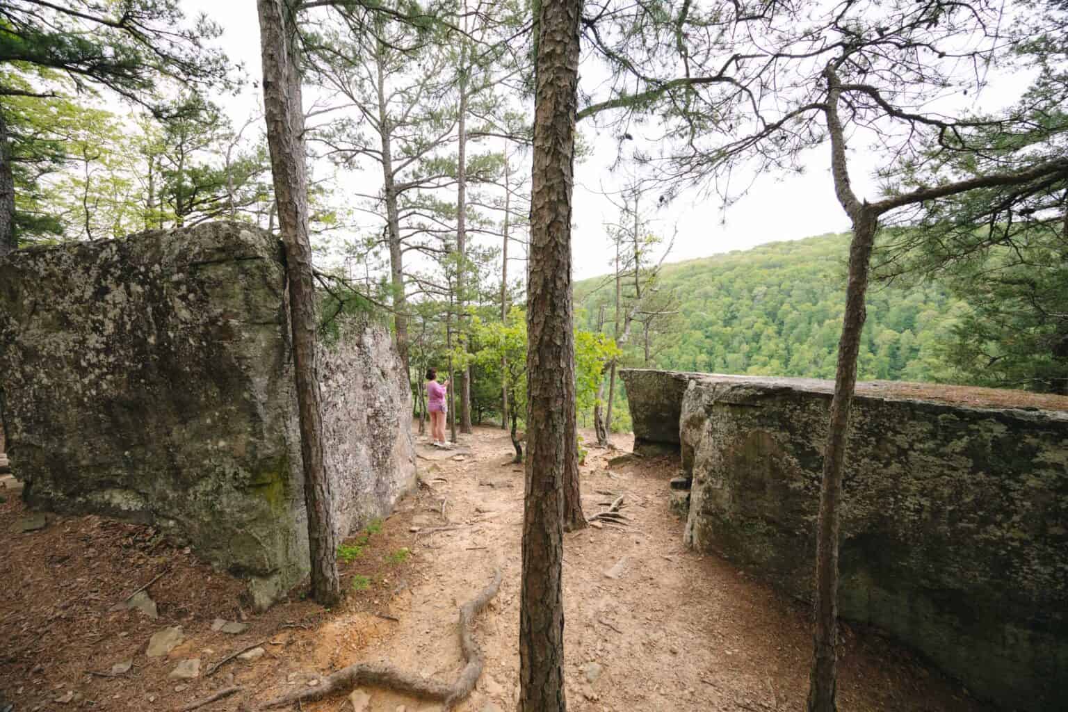 Whitaker Point Trail (Hawksbill Crag): Complete Hiking Guide