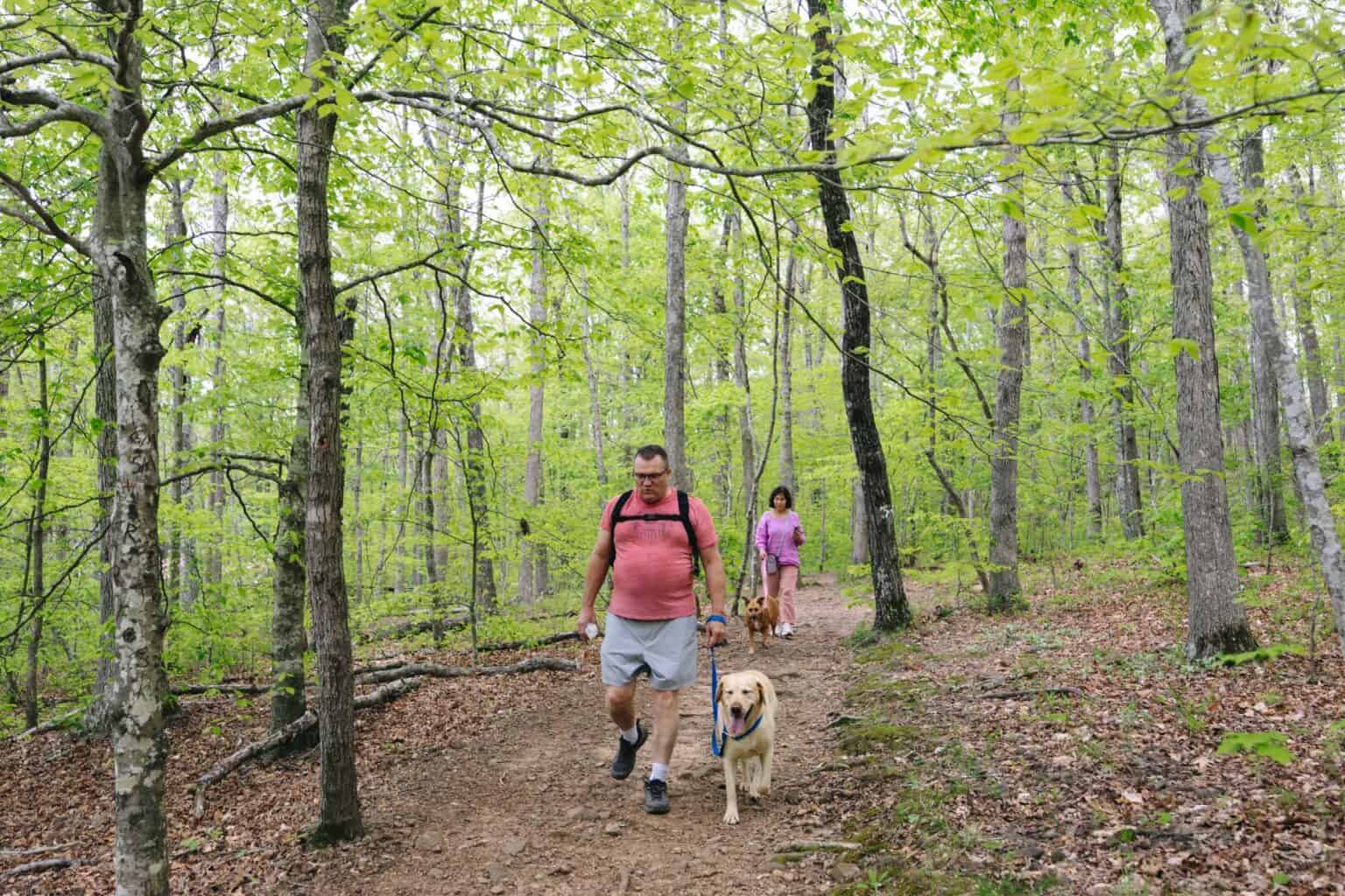 Whitaker Point Trail (Hawksbill Crag): Complete Hiking Guide