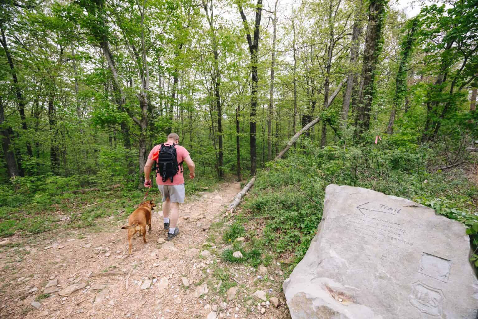 Whitaker Point Trail (Hawksbill Crag): Complete Hiking Guide