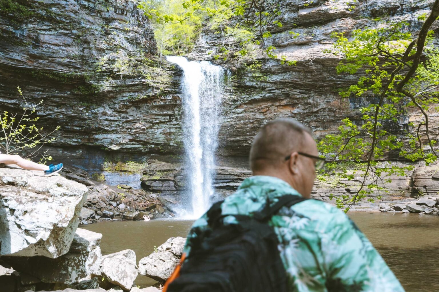 Cedar Falls Trail in Arkansas: Complete Hiking Guide