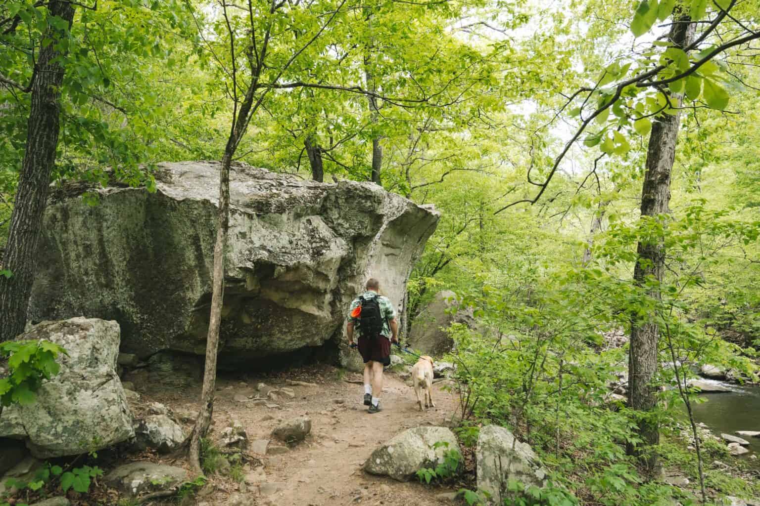 Cedar Falls Trail in Arkansas: Complete Hiking Guide