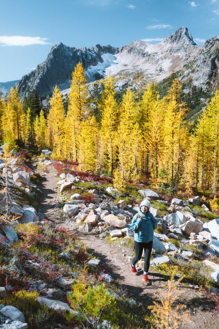 Cutthroat Pass in North Cascades: Complete Hiking Guide
