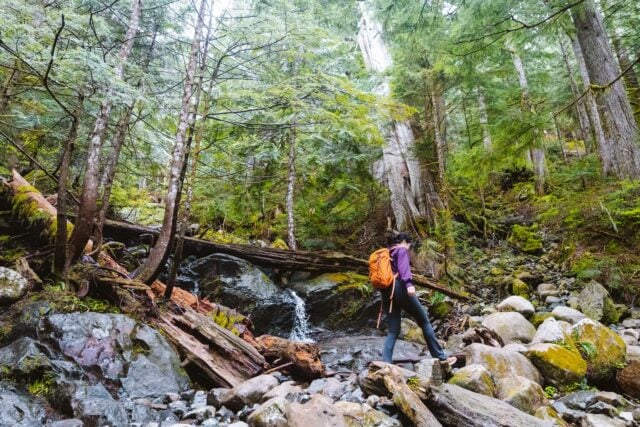 Heather Lake Trail in Washington: Complete Hiking Guide