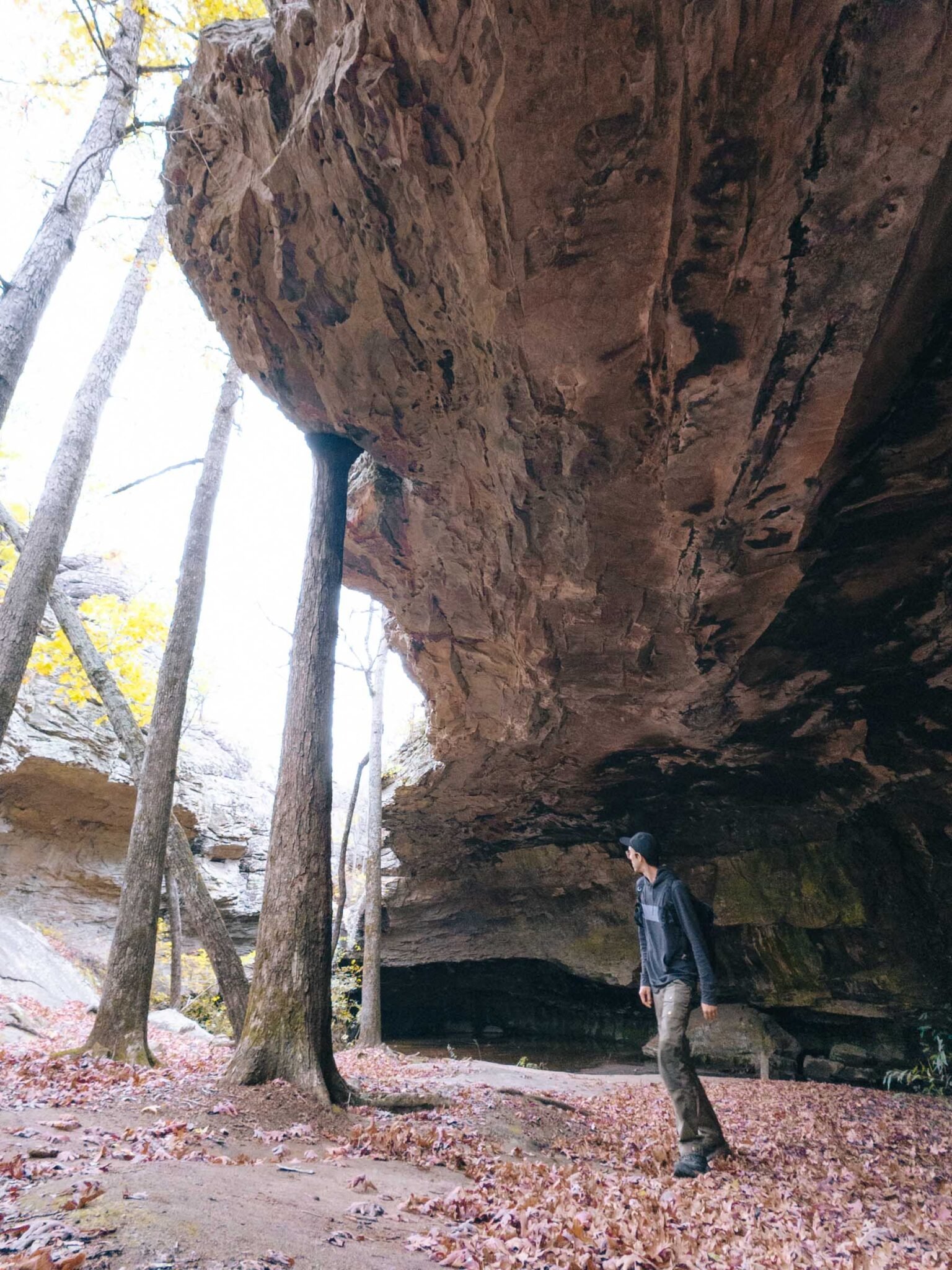 8 Incredible Hikes in Arkansas: Complete Travel Guide
