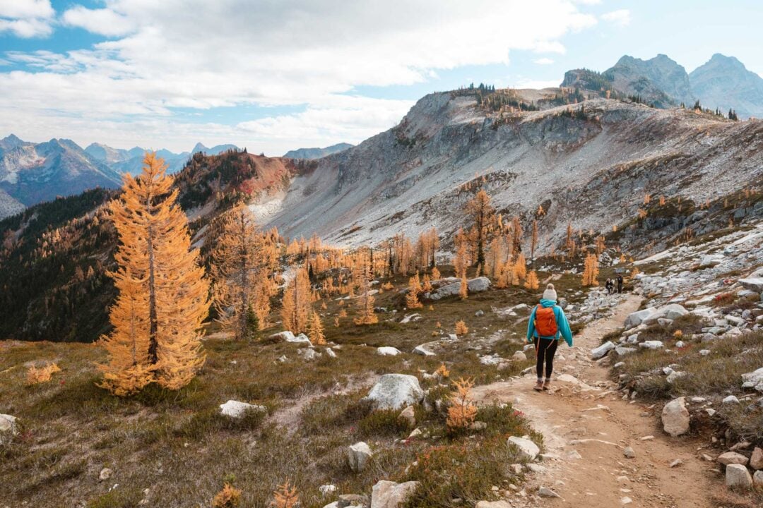 Maple Pass Loop in the North Cascades: Complete Hiking Guide