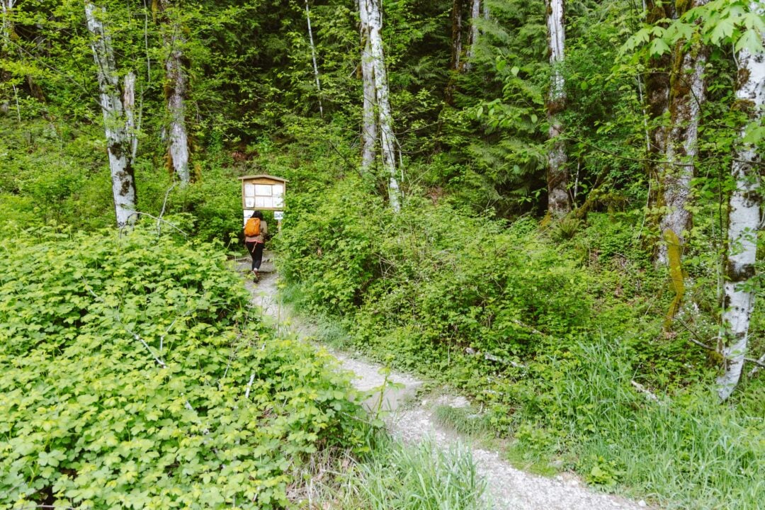 Heybrook Lookout in Washington: Complete Hiking Guide