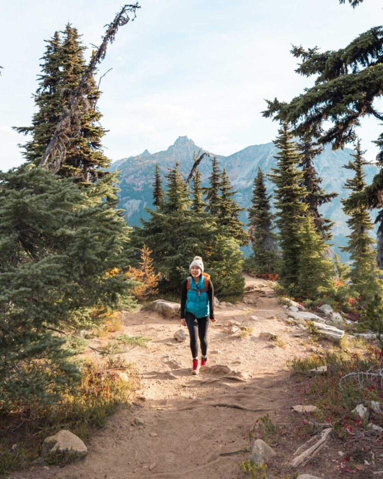 Maple Pass Loop in the North Cascades: Complete Hiking Guide