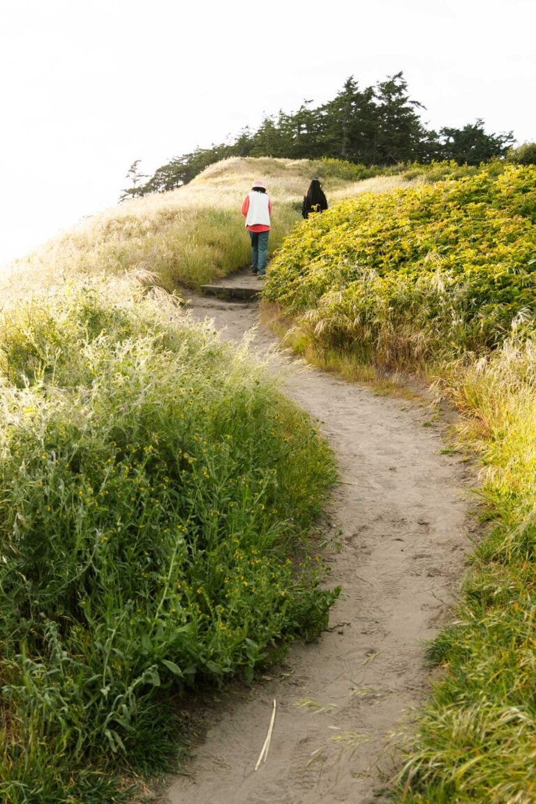 Ebey's Landing on Whidbey Island: Complete Hiking Guide