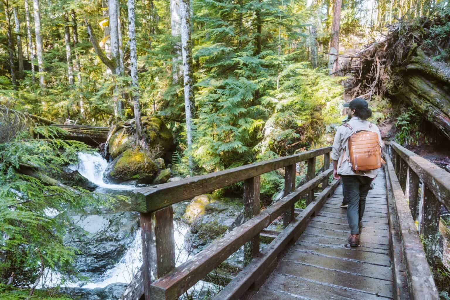 Lake 22 Trail in Washington: Complete Hiking Guide