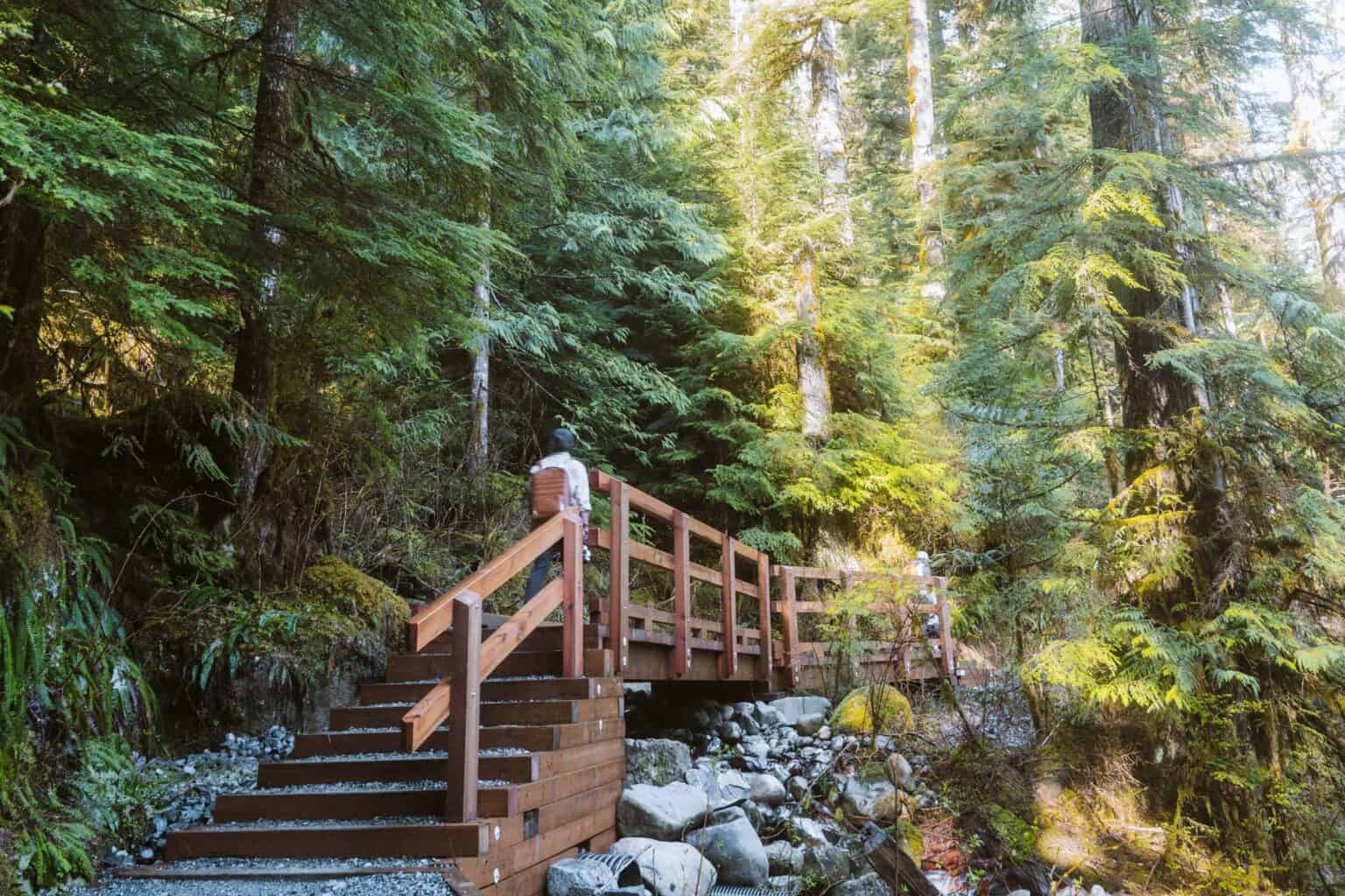 Lake 22 Trail in Washington: Complete Hiking Guide