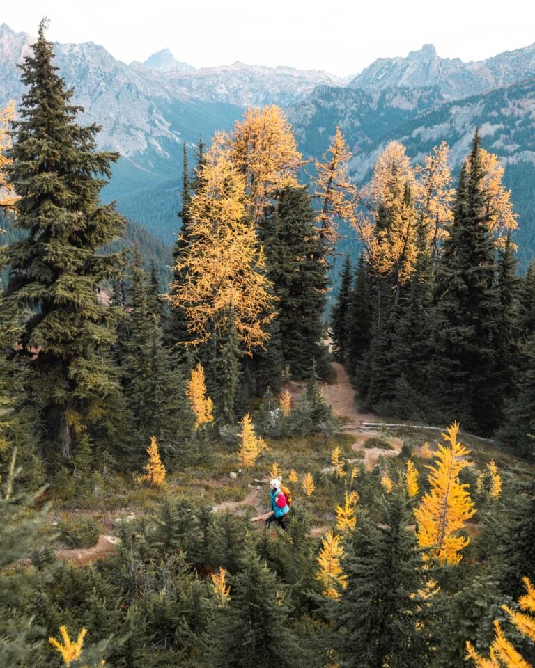 Maple Pass Loop in the North Cascades: Complete Hiking Guide