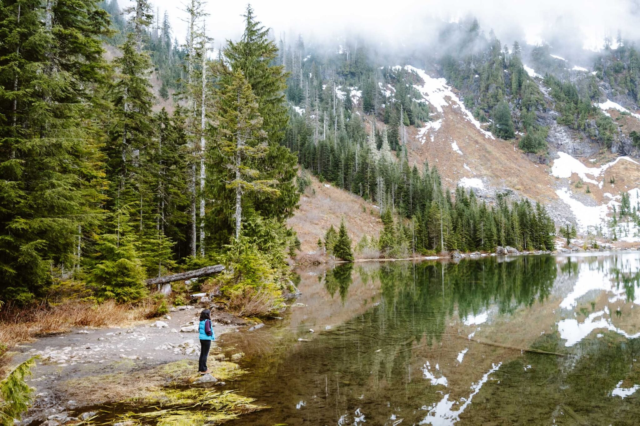 Heather Lake Trail in Washington: Complete Hiking Guide