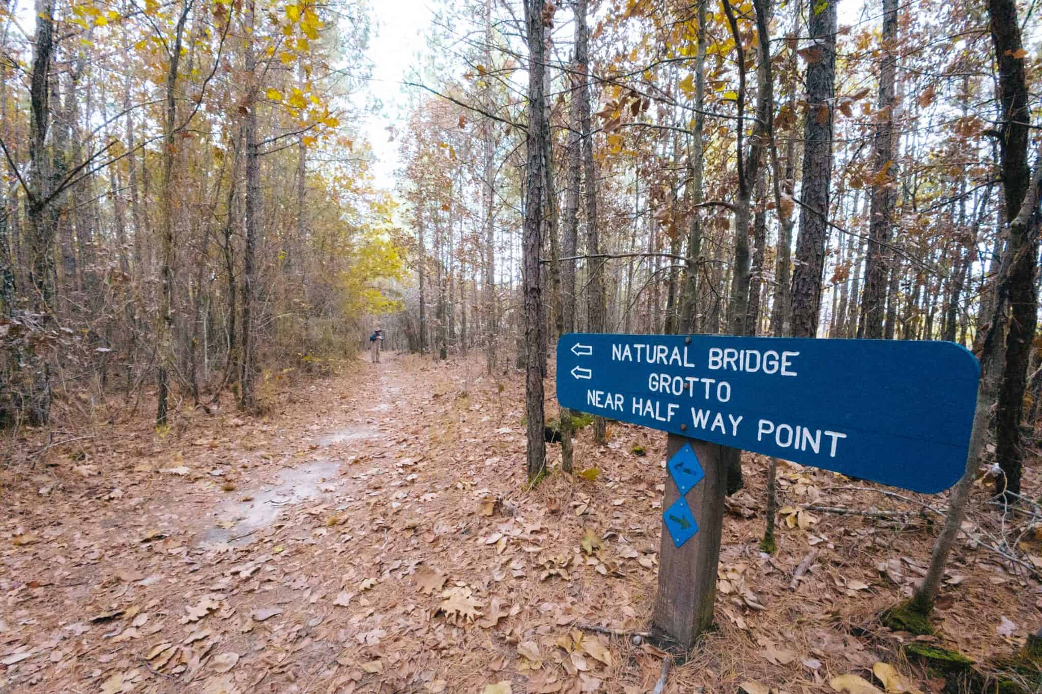 Seven Hollows Trail in Petit Jean Arkansas: Complete Hiking Guide