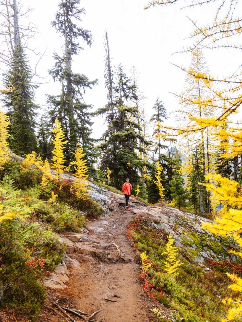 Blue Lake Trail in North Cascades: Complete Hiking Guide