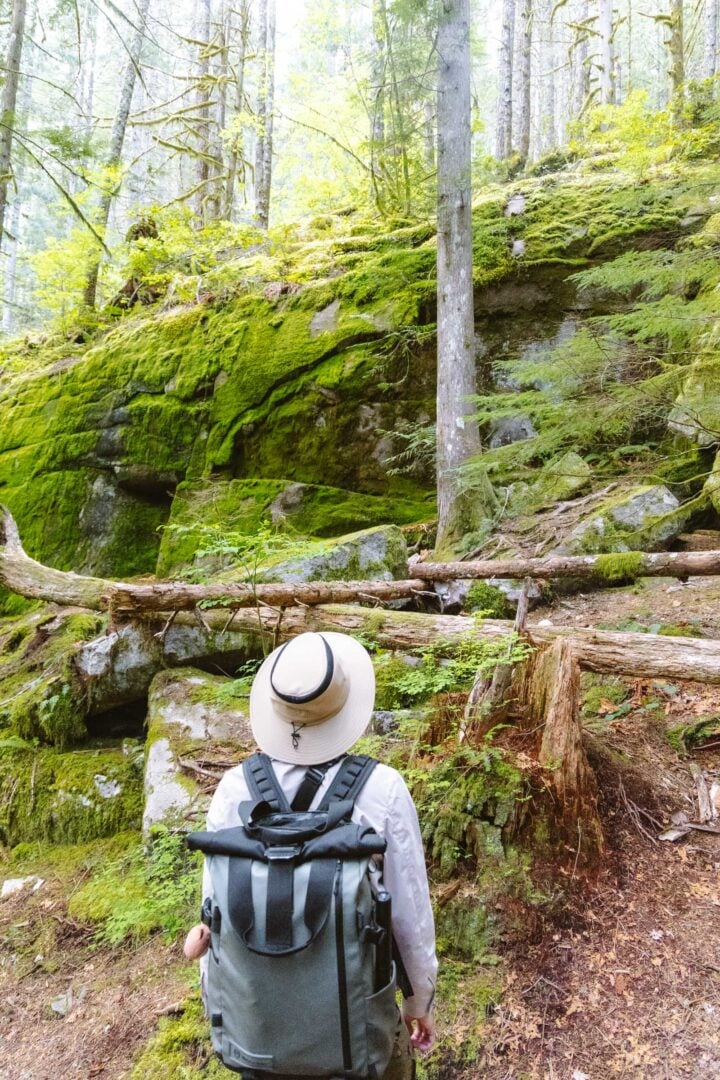 Heybrook Lookout in Washington: Complete Hiking Guide