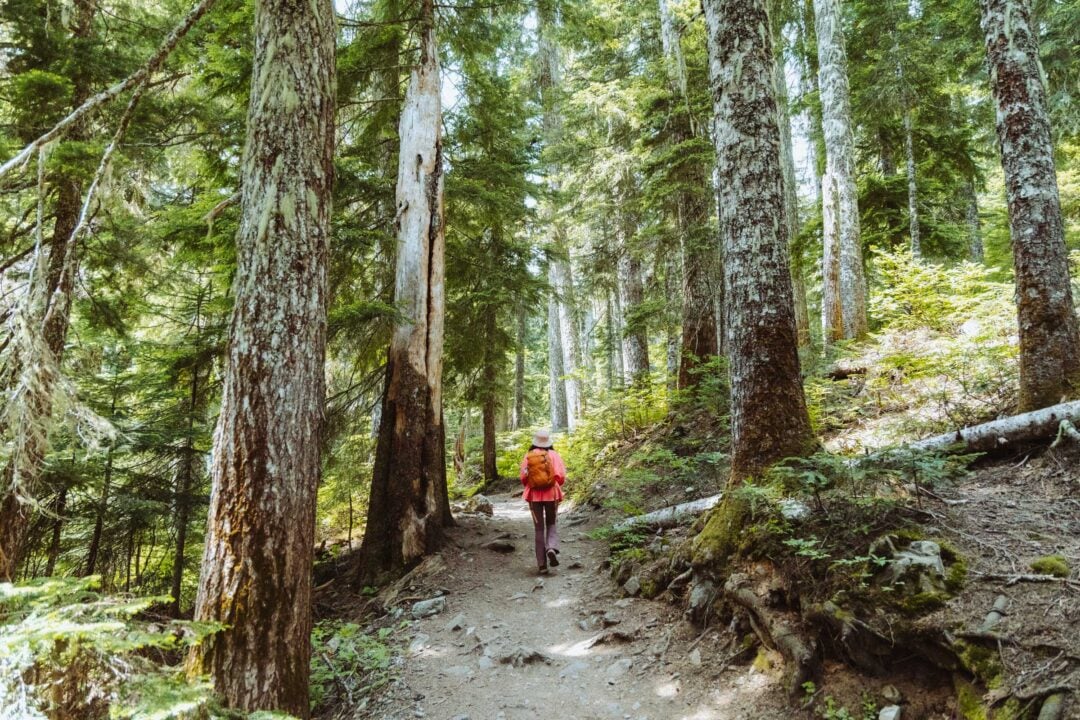 Snow Lake Trail in Washington: Hiking Guide