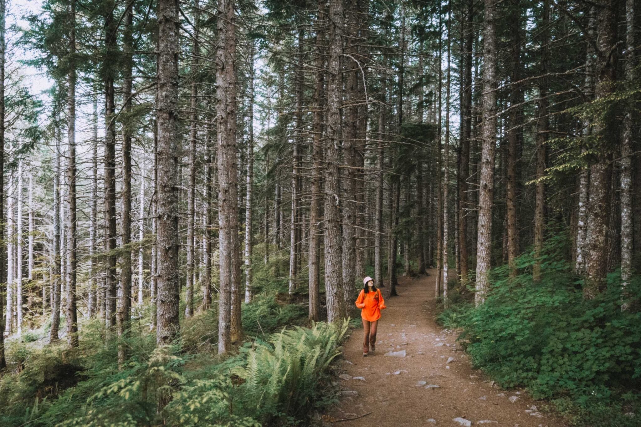 Talapus and Olallie Lakes Hike: Complete Guide