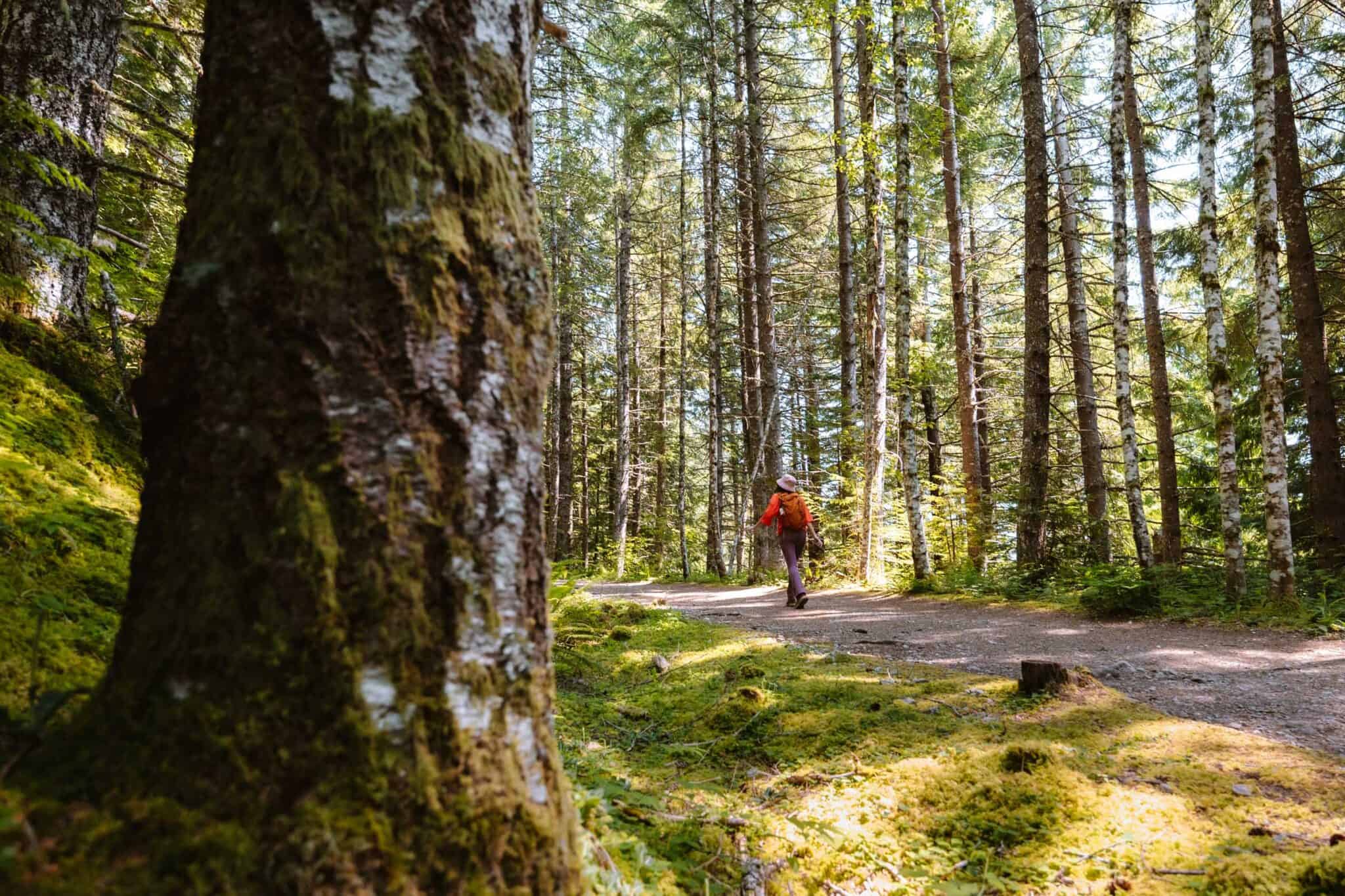 Mason Lake Hike in Washington: Complete Guide
