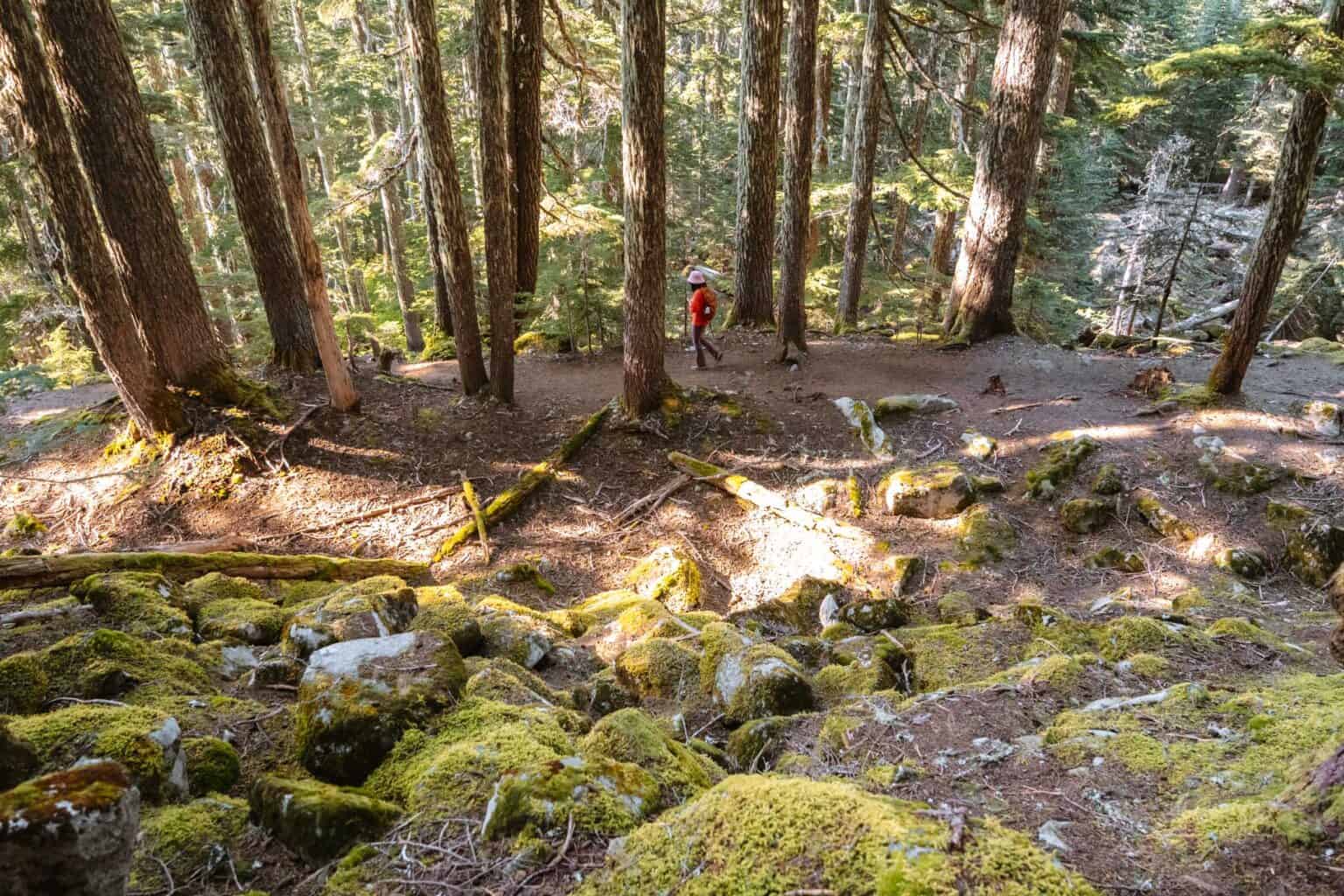 Mason Lake Hike in Washington: Complete Guide
